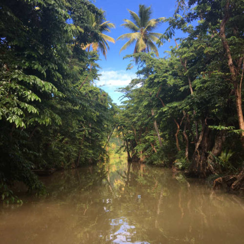 La Dominique, paradis vert des Caraïbes | Voyage sur mesure